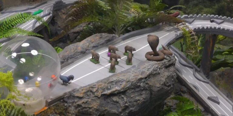 How to Start Marble Racing: Beginner’s Guide by Marble Magic